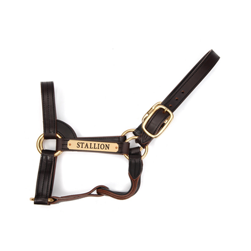 Leather Stallion Halter - Central Kentucky Tack and Leather