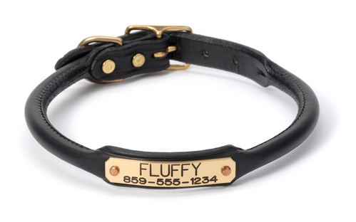 Rolled Leather Collar with Plate - Central Kentucky Tack and Leather